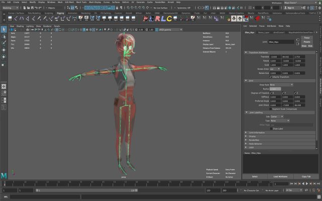 What is 3D rigging in Animation? - 4 Major Steps