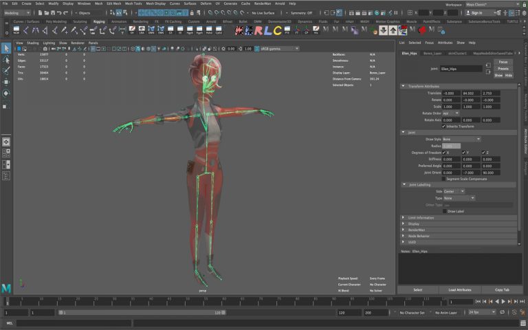 What is 3D rigging in Animation? - 4 Major Steps