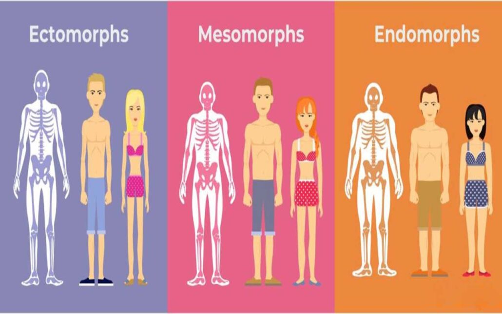Human Anatomy Tips for Artists - The Elements of Form