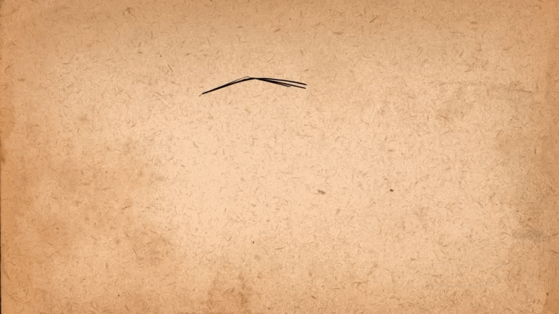 What is Solid Drawing in Animation Principles?