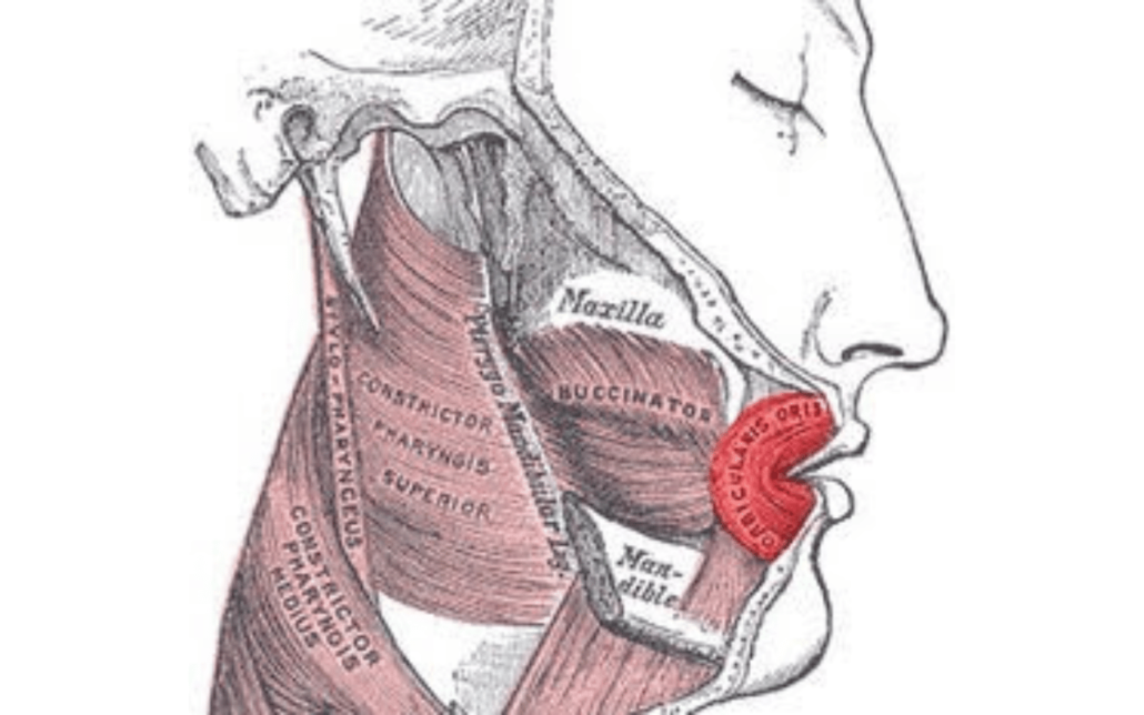 A Complete Guide to Facial Animation Tips
